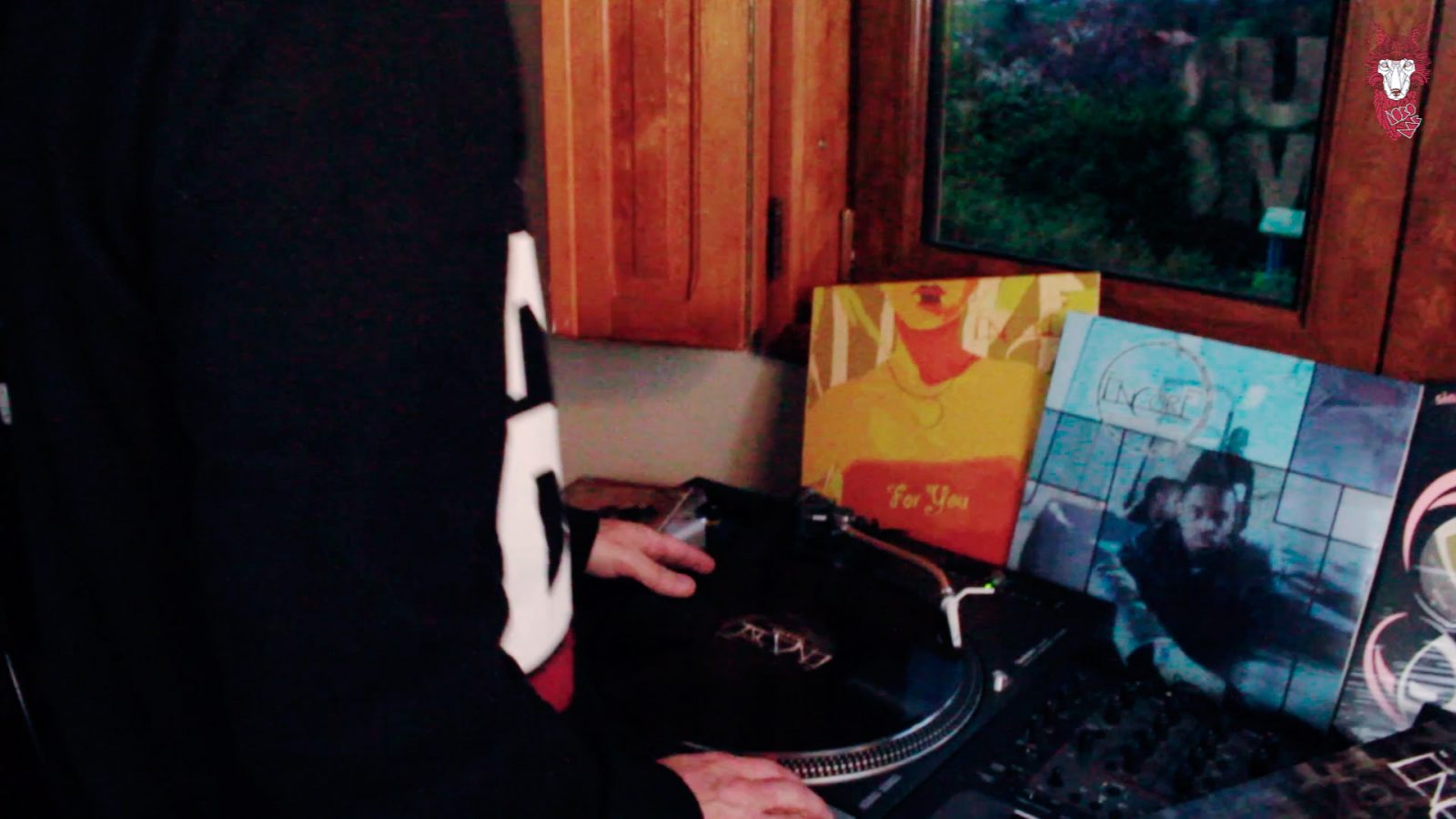 Vinilos: Encore (1996-2004) - Lobolab